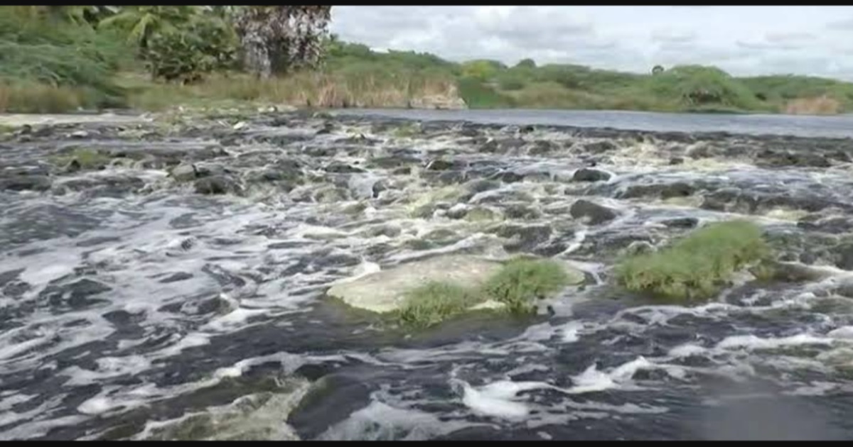 அதிர்ச்சியில் உறையும் கோவை மக்கள்.. கலர் கலராக மாறிய நீர்.! - Tamil Spark