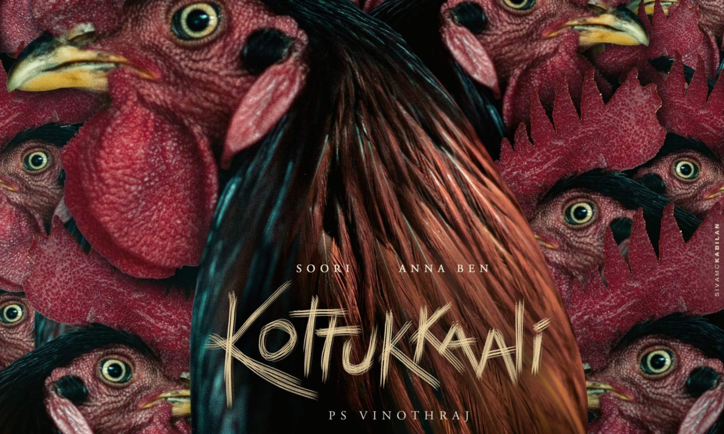 சூரி கதாநாயகனாக நடிக்கும் கொட்டுக்காளி திரைப்படத்தின் புதிய அப்டேட் ...